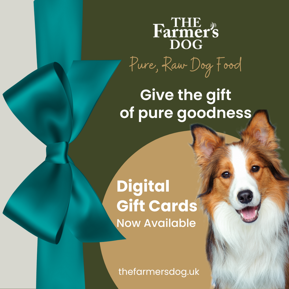 Raw Dog Food Gift Card - The Farmer's Dog – The Farmer's Dog UK
